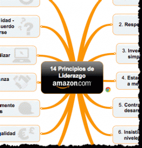 Pantalla-14-Principios-Liderazgo-Amazon – Resumen Inteligente